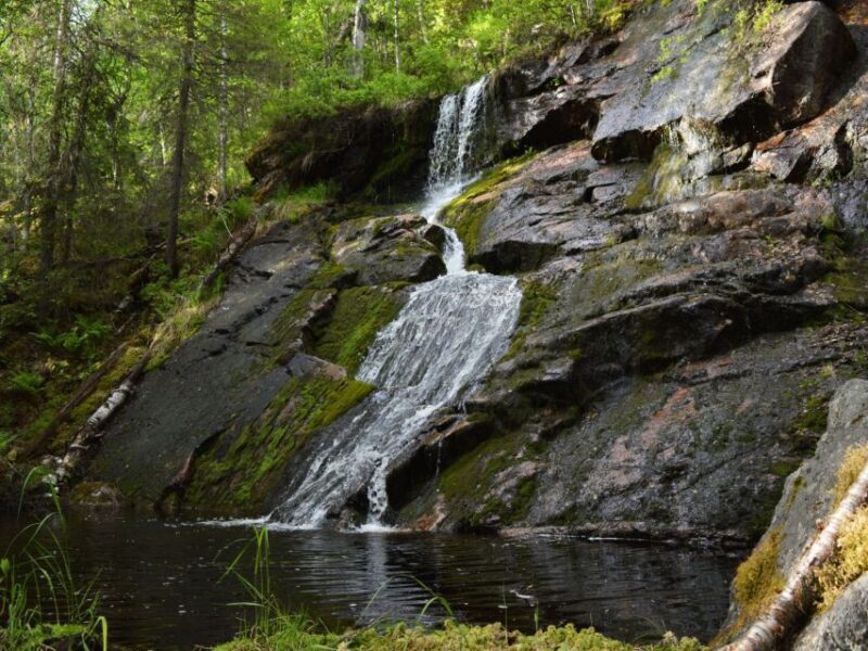 Rovaniemi: Korouoma Canyon Hike and Barbecue Experience - Key Points