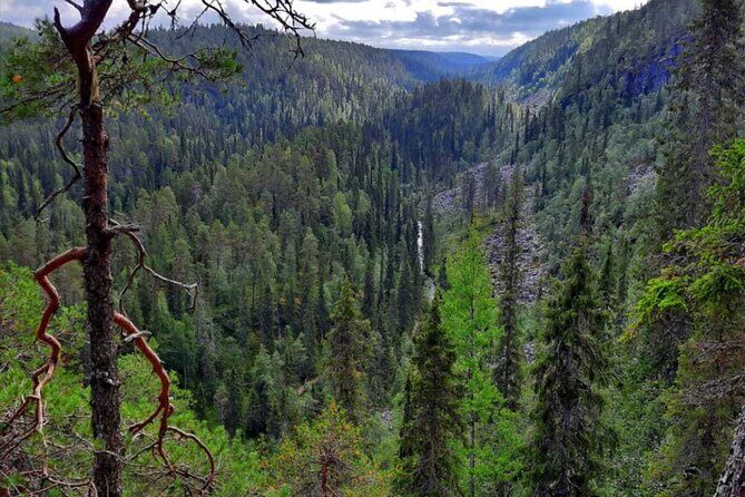 Rovaniemi: Korouoma Canyon Hike and Barbecue Experience - Key Points