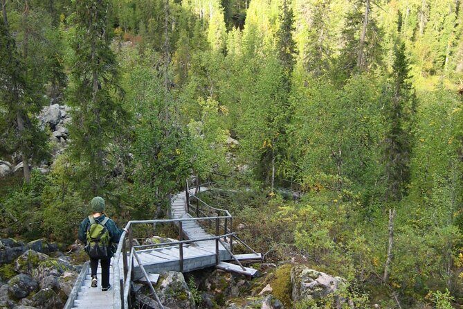 Rovaniemi: Korouoma Canyon Hike and Barbecue Experience - The Itinerary: What You’ll Actually Do