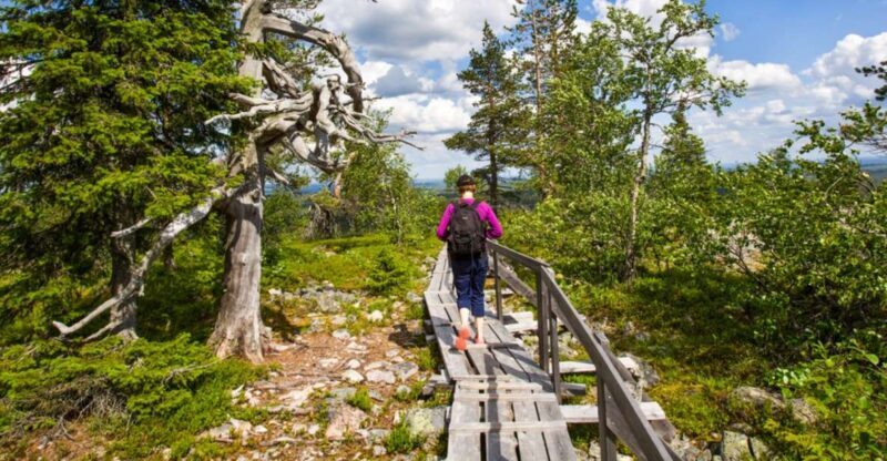 Rovaniemi: Korouoma Canyon & Waterfalls Tour with BBQ - Rovaniemi: Korouoma Canyon & Waterfalls Tour with BBQ — A Deep Dive