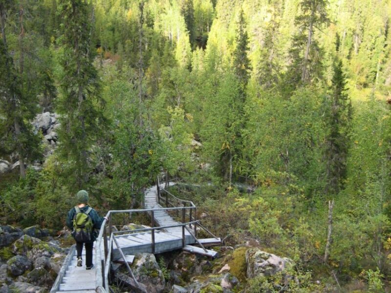 Rovaniemi: Korouoma Canyon & Waterfalls Tour with BBQ - Key Points