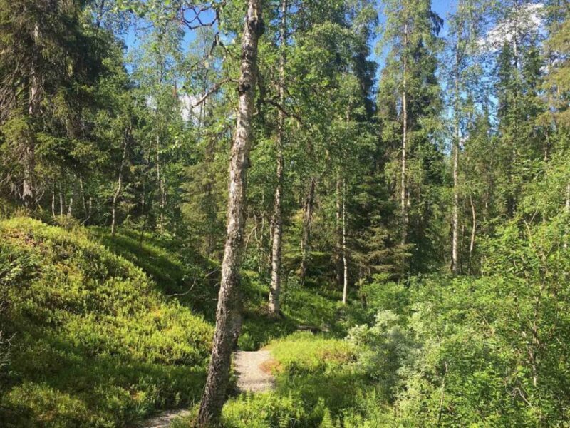 Rovaniemi: Korouoma Canyon & Waterfalls Tour with BBQ - Who Should Consider This Tour?