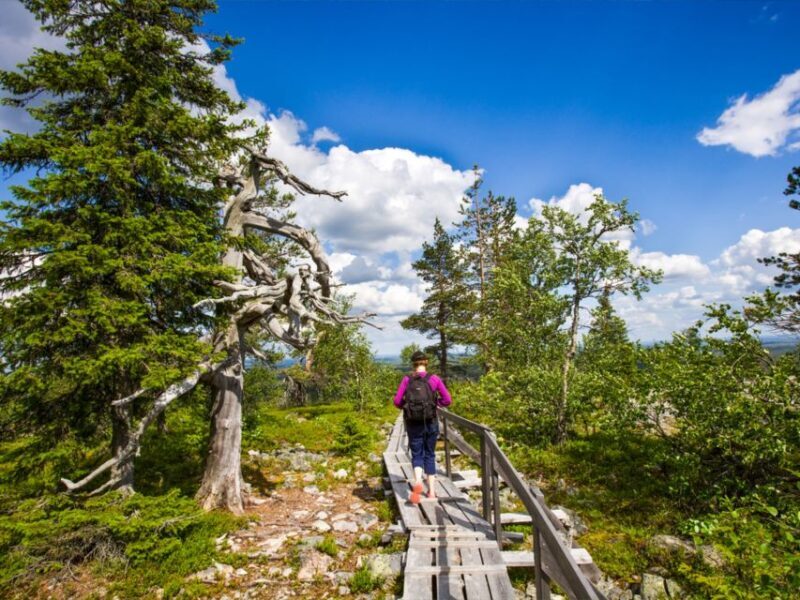 Rovaniemi: Korouoma Canyon & Waterfalls Tour with BBQ - A Balanced View: Pros and Cons