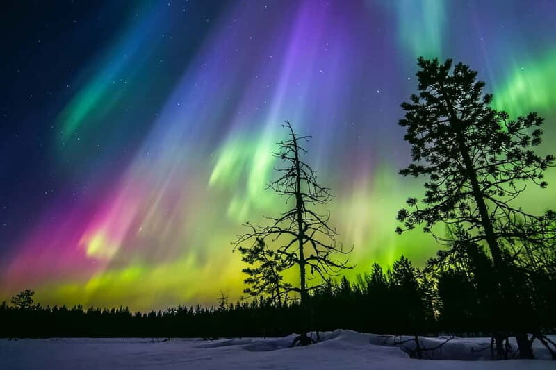 Rovaniemi: Lakeside Private Sauna with Aurora Borealis - Key Points