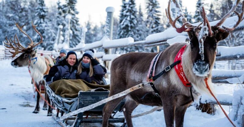 Rovaniemi: Local Reindeer Farm Visit with Sleigh Ride - Authenticity and the Real Lapland Experience