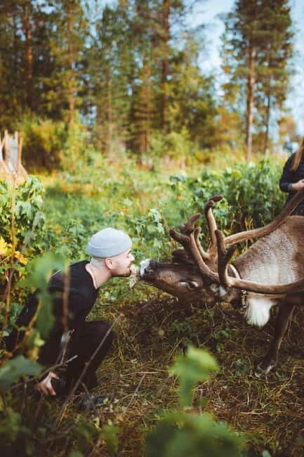 Rovaniemi: Meet Santa Claus and His Friends - The Sum Up