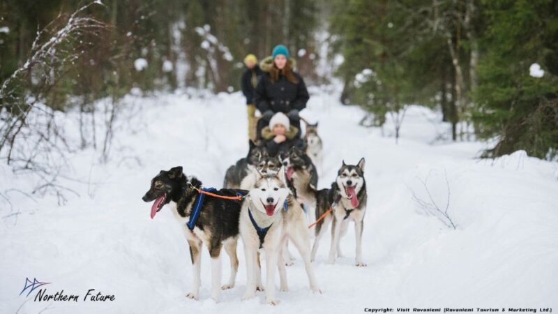 Rovaniemi: Meet Santa Claus, Reindeer Sleigh Ride & Huskies - Key Points