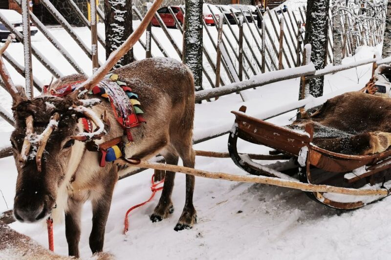 Rovaniemi: Meet Santa Claus, Reindeer Sleigh Ride & Huskies - The Guided Experience