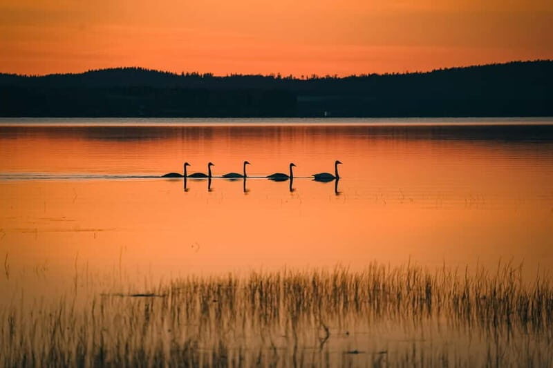 Rovaniemi: Midnight Sun Delight - Final Thoughts
