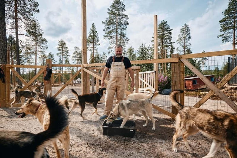 Rovaniemi: Modern husky kennel tour and cart ride in summer - Rovaniemi: Modern Husky Kennel Tour and Cart Ride in Summer
