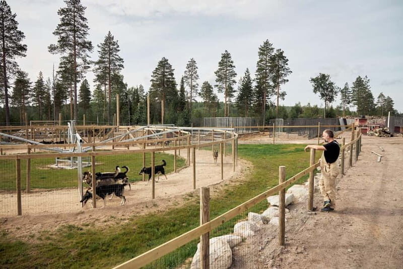 Rovaniemi: Modern husky kennel tour and cart ride in summer - Key Points