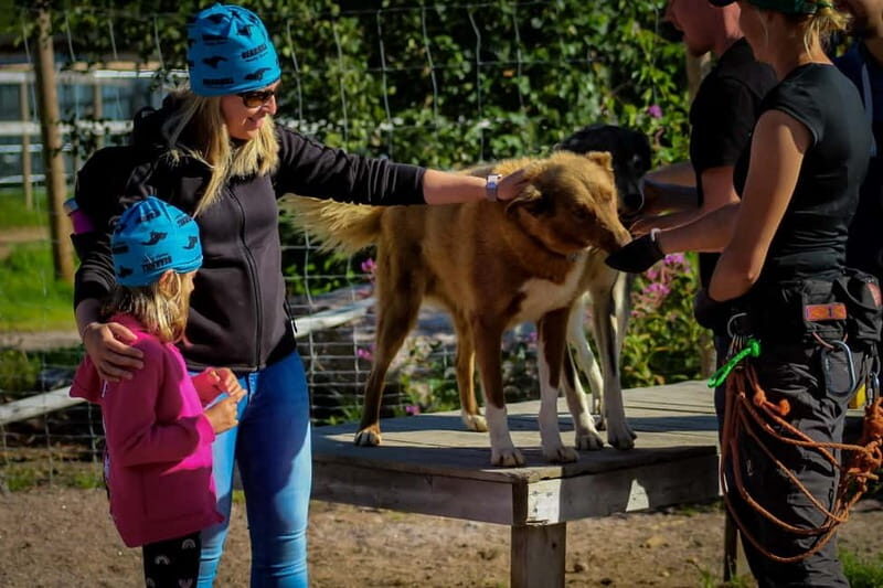 Rovaniemi: Modern husky kennel tour and cart ride in summer - Final Thoughts