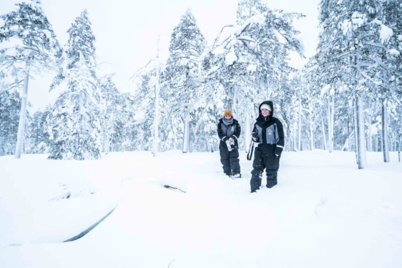 Rovaniemi: Nordic Forest Wilderness Adventure - Rovaniemi: Nordic Forest Wilderness Adventure — An Authentic Arctic Experience