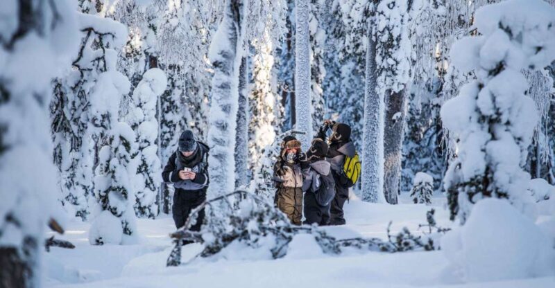 Rovaniemi: Nordic Forest Wilderness Adventure - Who Will Love This Tour?