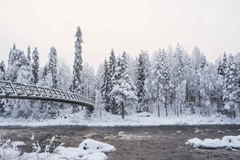 Rovaniemi: Nordic Forest Wilderness Adventure - FAQ