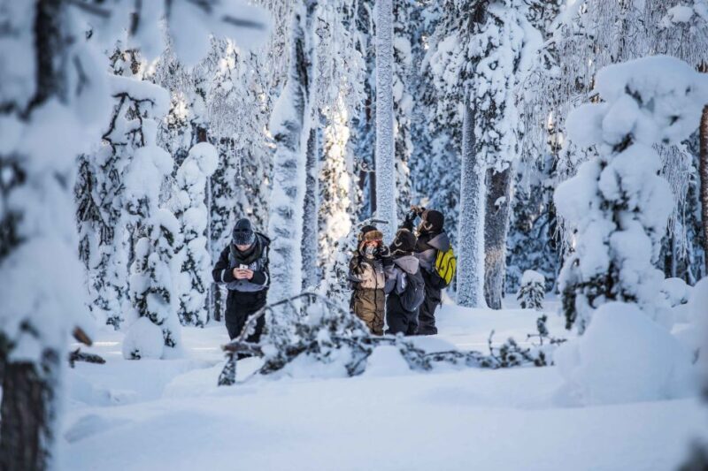 Rovaniemi: Nordic Forest Wilderness Adventure - Final Thoughts