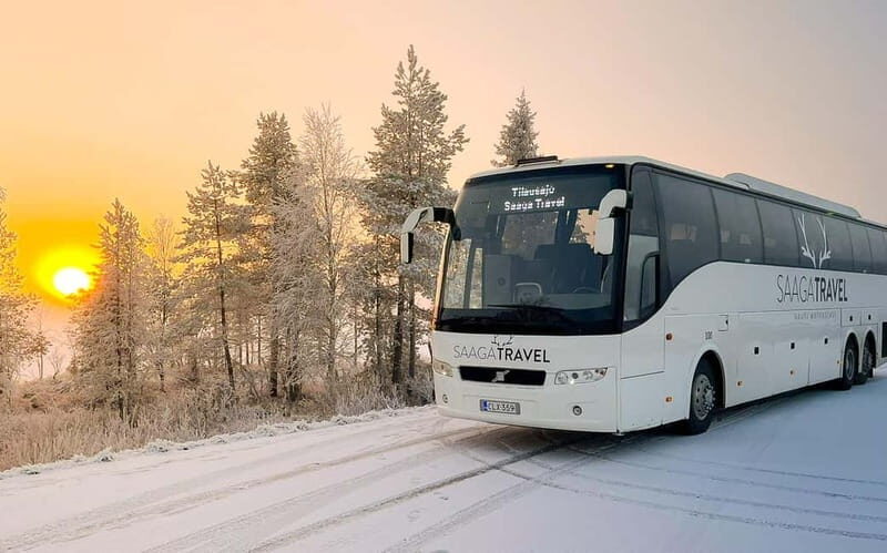 Rovaniemi: Northern Lights Bus Tour with Hot Drinks & Snacks - Key Points