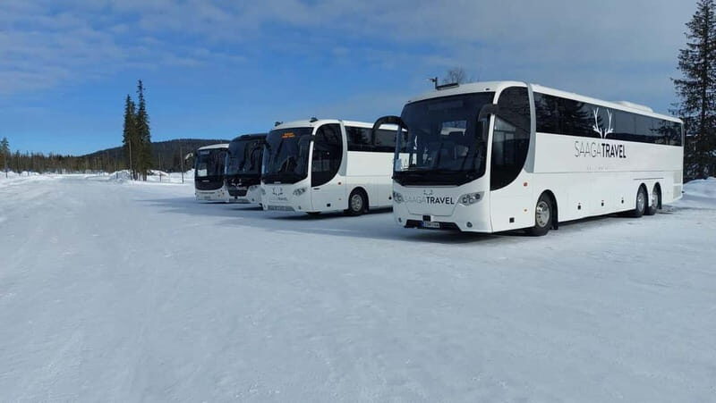 Rovaniemi: Northern Lights Bus Tour with Hot Drinks & Snacks - An In-Depth Look at the Northern Lights Bus Tour