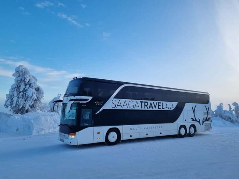 Rovaniemi: Northern Lights Bus Tour with Hot Drinks & Snacks - Final Thoughts