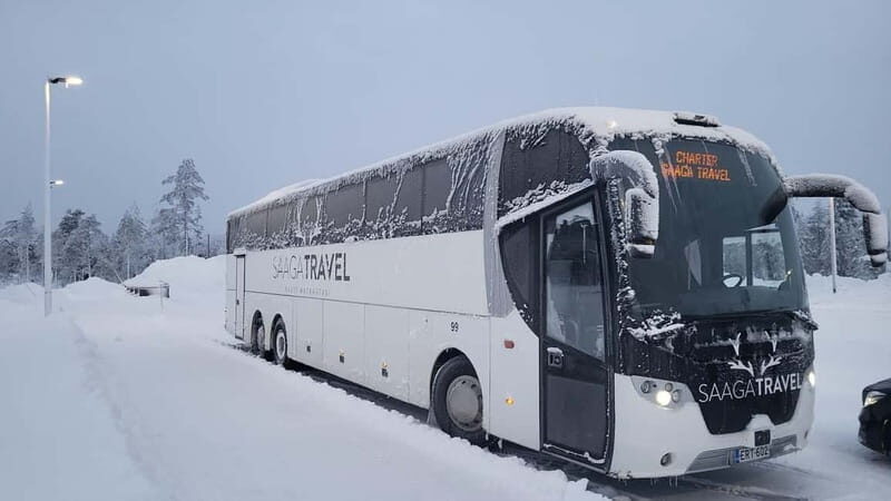 Rovaniemi: Northern Lights Bus Tour with Hot Drinks & Snacks - FAQ