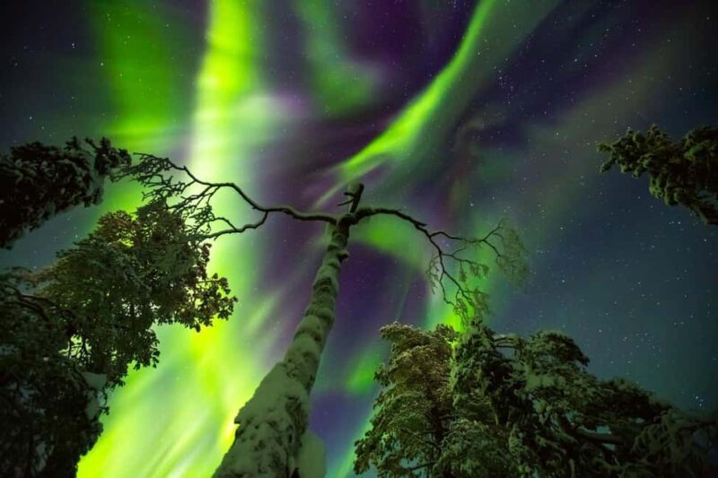 Rovaniemi: Northern Lights Hunt & Photography Experience - The Value of the Experience