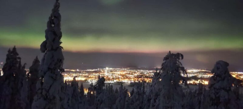 Rovaniemi: Northern Lights Hunt with Local Guides - The Itinerary and Experience: A Deep Dive