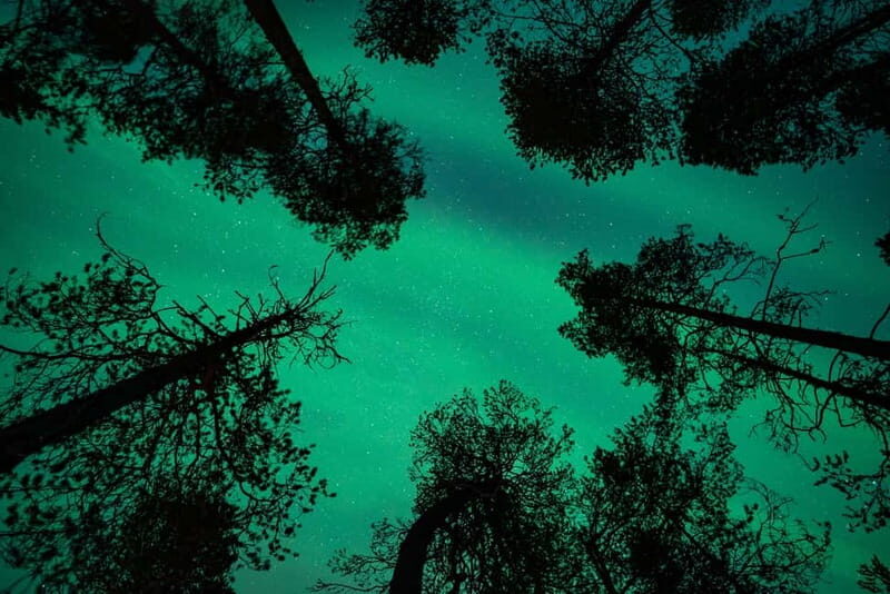 Rovaniemi: Northern Lights Quad Bike Tour - Authentic Touches & Additional Benefits