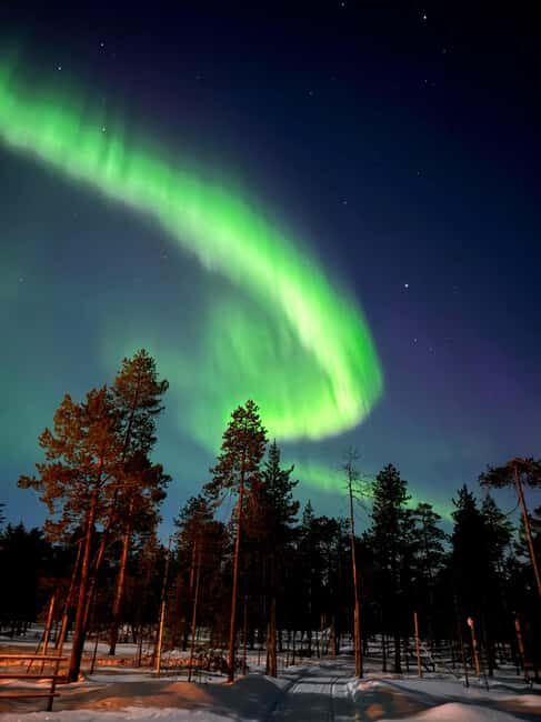 Rovaniemi: Northern Lights & Reindeer Experience - Key Points