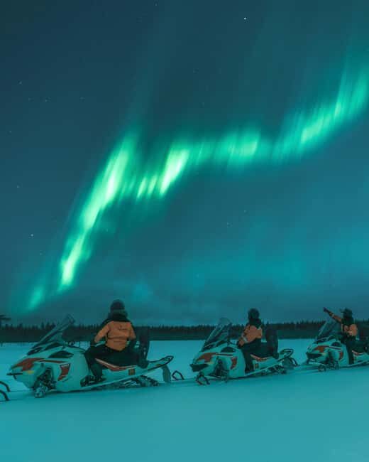 Rovaniemi: Northern Lights Safari on Electric Snowmobile - Who Would Love This Tour?