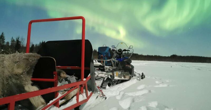 Rovaniemi: Northern Lights Sledge Ride - An In-Depth Look at the Tour Experience