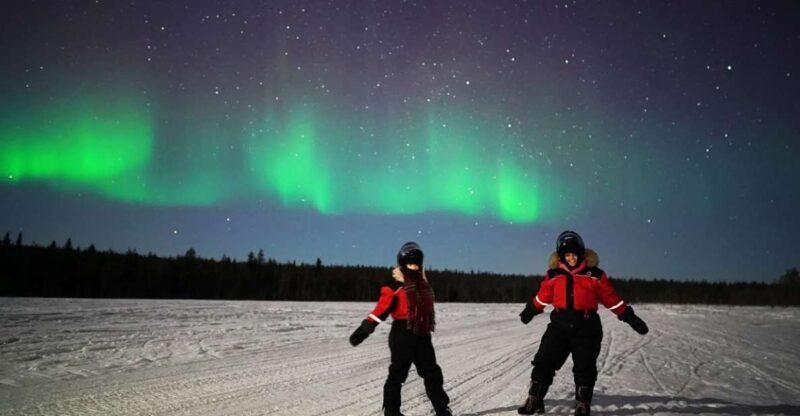 Rovaniemi: Northern Lights Sleigh Ride - Who Should Consider This Tour?
