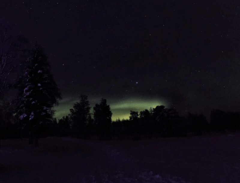 Rovaniemi: Northern Lights Snowmobile Safari with Campfire - The Authentic Touch