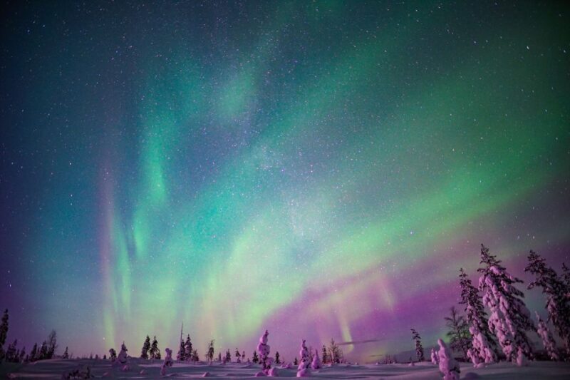 Rovaniemi: Northern Lights Snowmobile Sledge Ride - An In-Depth Look at the Tour
