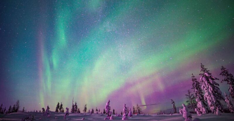 Rovaniemi: Northern Lights Snowmobile Sledge Ride - Frequently Asked Questions