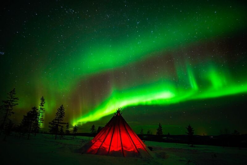 Rovaniemi: Northern Lights Snowmobile Tour - What This Tour Offers and Why It Matters