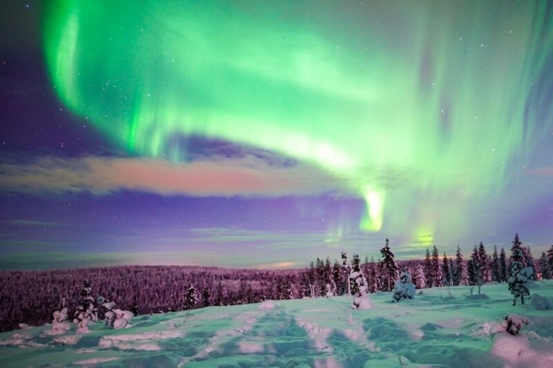 Rovaniemi: Northern Lights Snowmobile Tour - Authenticity and what Makes it Special