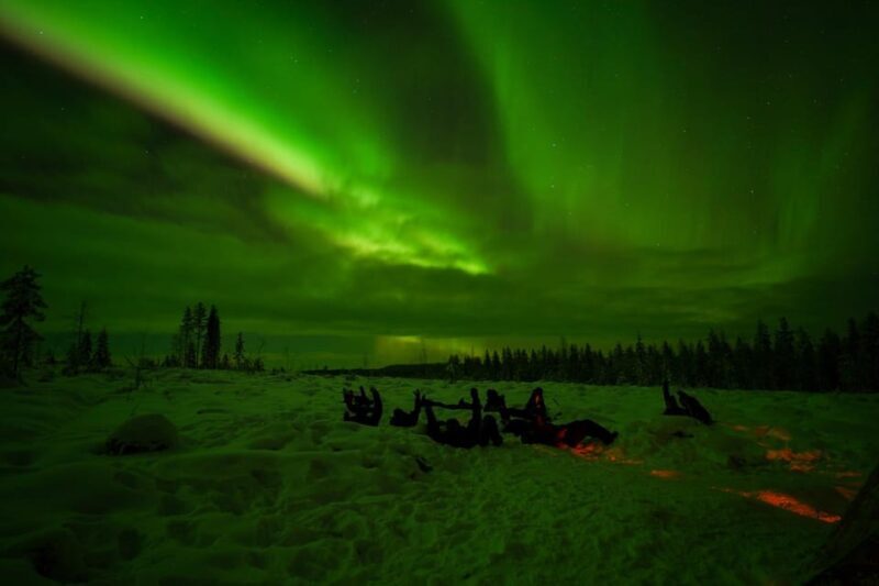 Rovaniemi: Northern Lights Tour at the Campfire - Setting the Scene: What the Tour Offers