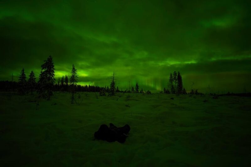 Rovaniemi: Northern Lights Tour at the Campfire - What Makes This Tour Stand Out?