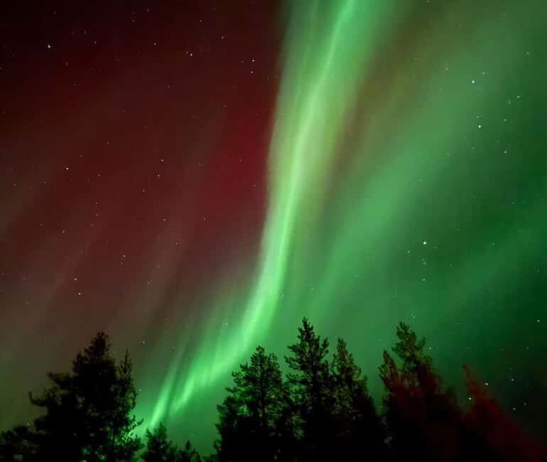 Rovaniemi: Northern Lights Tour - Aurora Viewing Guaranteed - Rovaniemi: Northern Lights Tour - Aurora Viewing Guaranteed