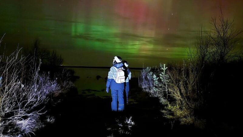 Rovaniemi: Northern Lights Tour with BBQ - Key Points