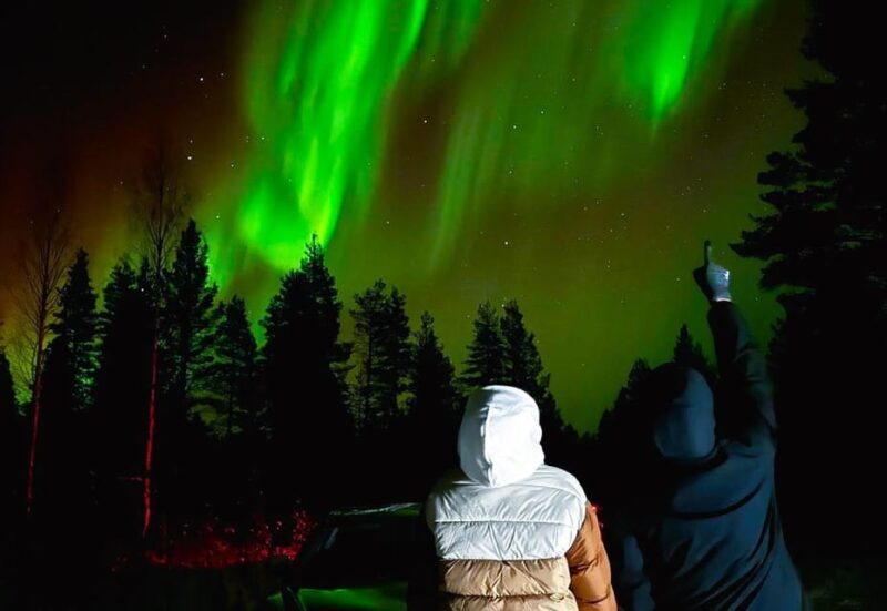 Rovaniemi: Northern Lights Tour with BBQ - The Itinerary: What to Expect from Start to Finish