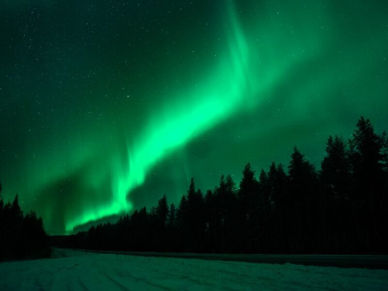 Rovaniemi: Northern Lights Tour with Guaranteed Sightings - What You Can Expect on This Northern Lights Tour