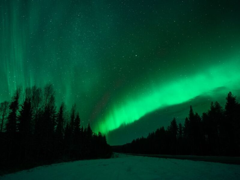 Rovaniemi: Northern Lights Tour with Guaranteed Sightings - Who Is This Tour Best Suited For?