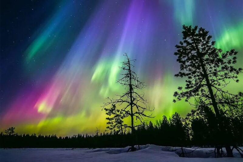 Rovaniemi: Northern Lights Trip with Arctic Sauna & Jacuzzi - Final Thoughts: Is This Tour Worth It?