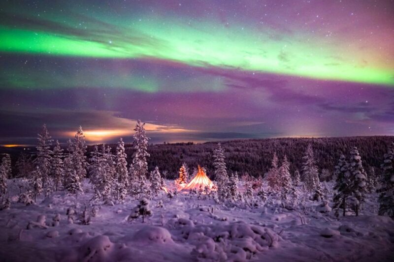 Rovaniemi: Northern Lights Wilderness Tour with Camera - Rovaniemi: Northern Lights Wilderness Tour with Camera – A Deep Dive