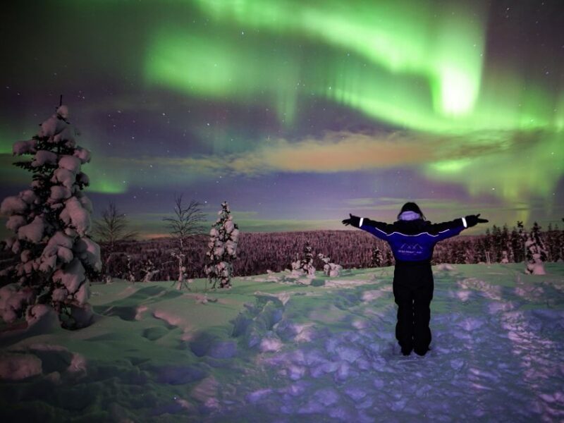 Rovaniemi: Northern Lights Wilderness Tour with Camera - The Itinerary: What You’ll Actually Do