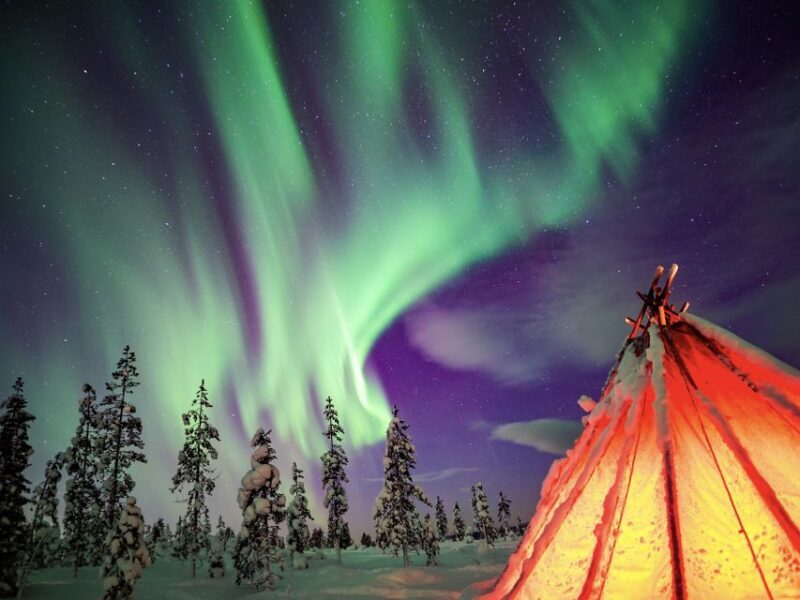 Rovaniemi: Northern Lights Wilderness Tour with Camera - FAQs