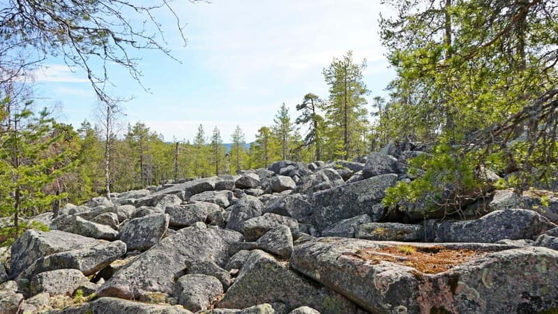 Rovaniemi: Övertorneå and Aavasaksa Hill. History and Nature - What’s Included and How Does the Pricing Stack Up?