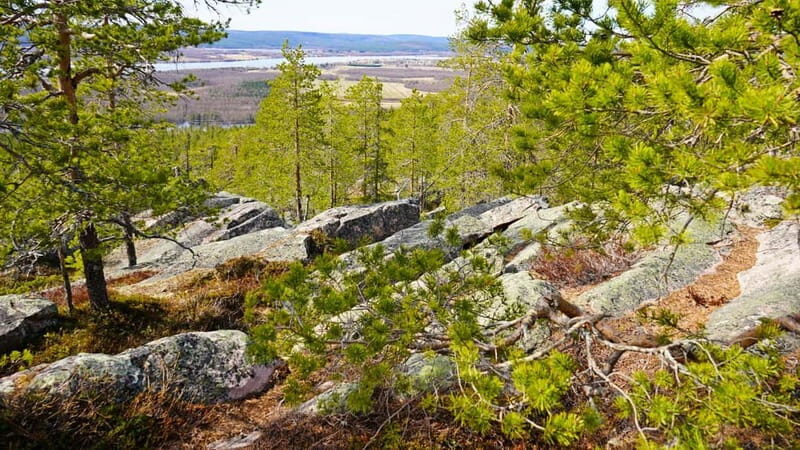 Rovaniemi: Övertorneå and Aavasaksa Hill. History and Nature - Practical Tips for Making the Most of the Tour
