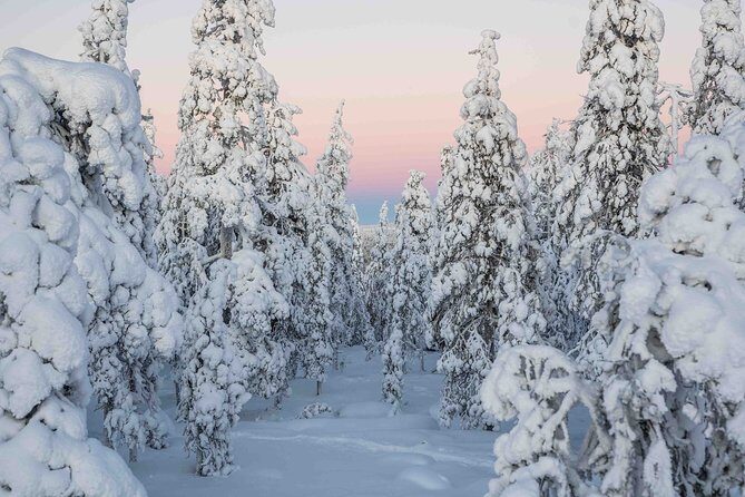 Rovaniemi photography tour - Practical Tips for Your Tour